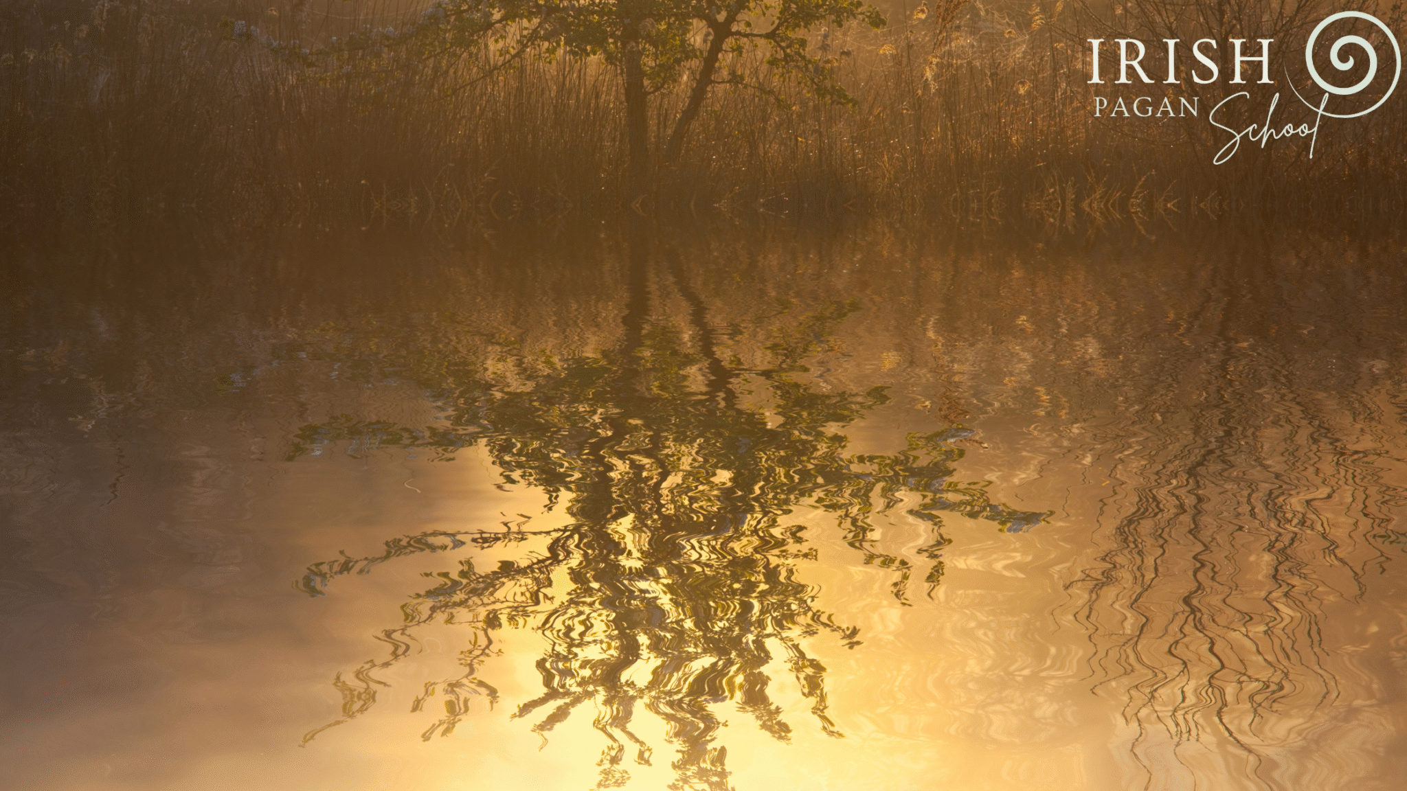 Irish Water Spirits in Myth and Practice - The Irish Pagan School